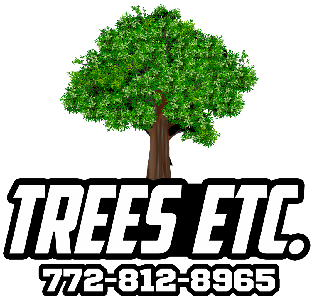 Trees Etc LLC – Tree Removal & Stump Grinding in Port St. Lucie